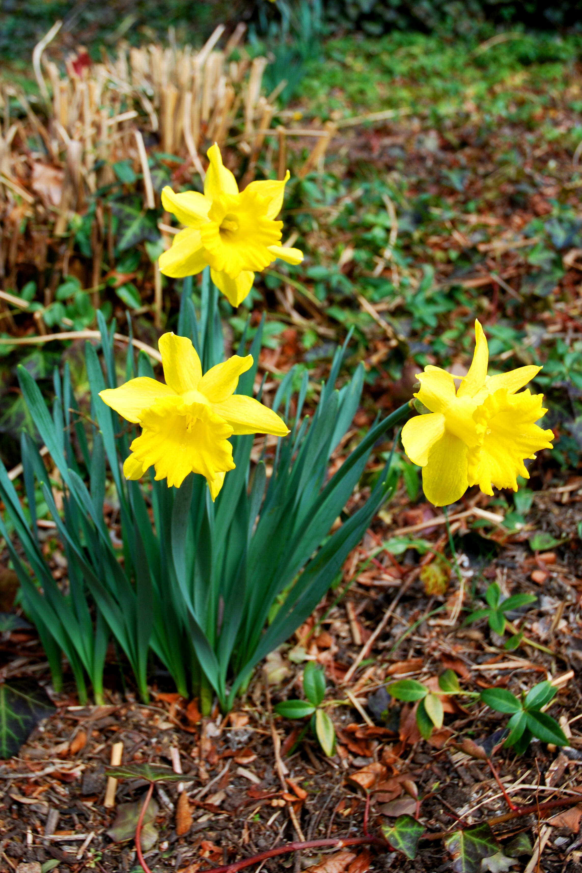 Beautiful Spring in Philadelphia | Through Julia's Lens