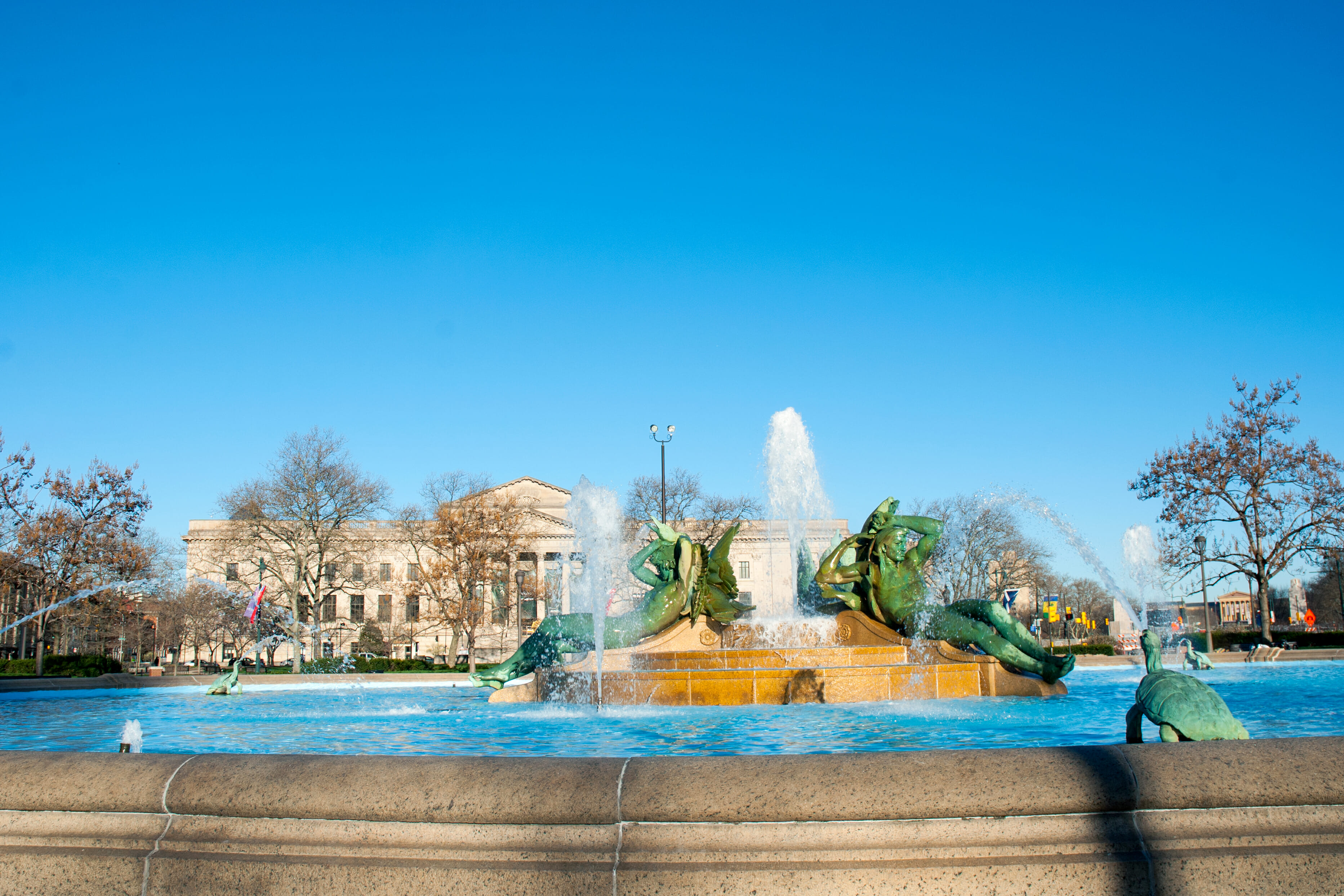 Best Spots to See Spring Flowers in Philadelphia | Through Julia's Lens