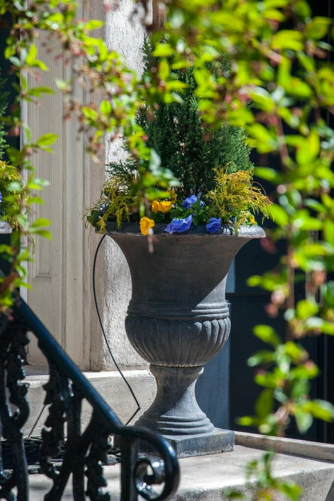 Best Spots to See Spring Flowers in Philadelphia | Through Julia's Lens